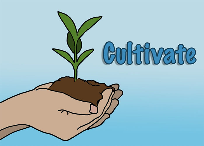 Wall eight | Cultivate | Loughborough University