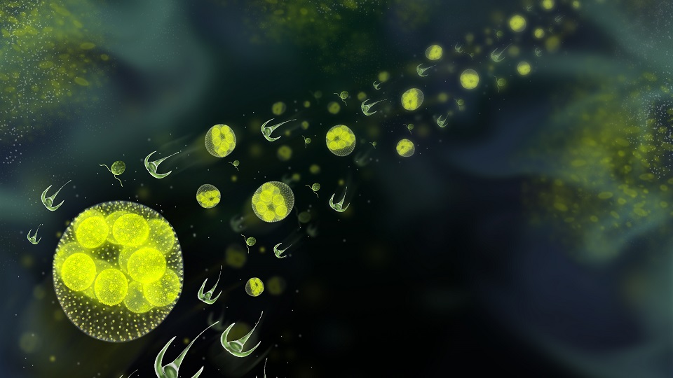 Nonequilibrium Soft Matter | Mathematical Sciences | Loughborough ...